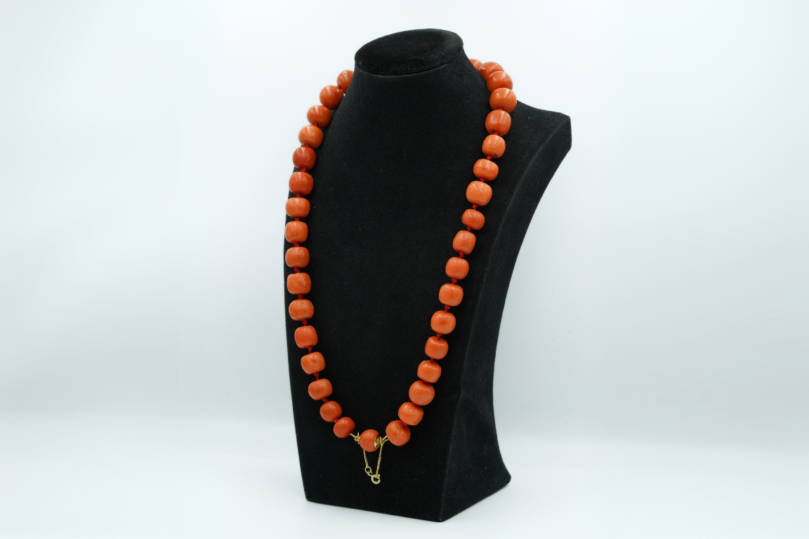 Bloedkoraal: eigenschappen, waarde, onderhoud en bescherming - Kostbaar